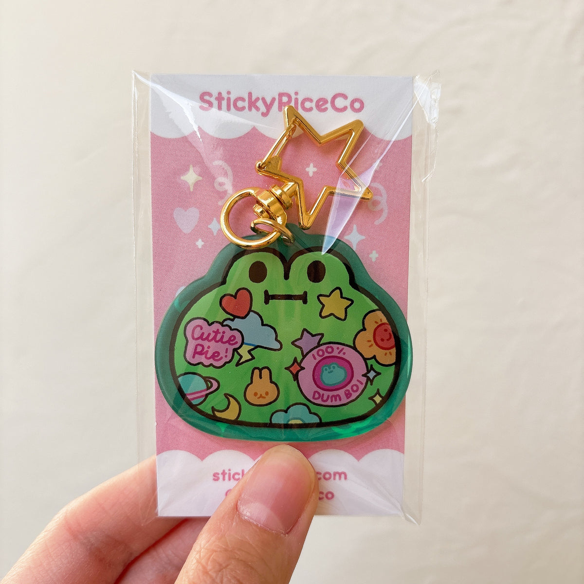 Cute Acrylic Keychains with Translucent Color Border – StickyRiceCompany