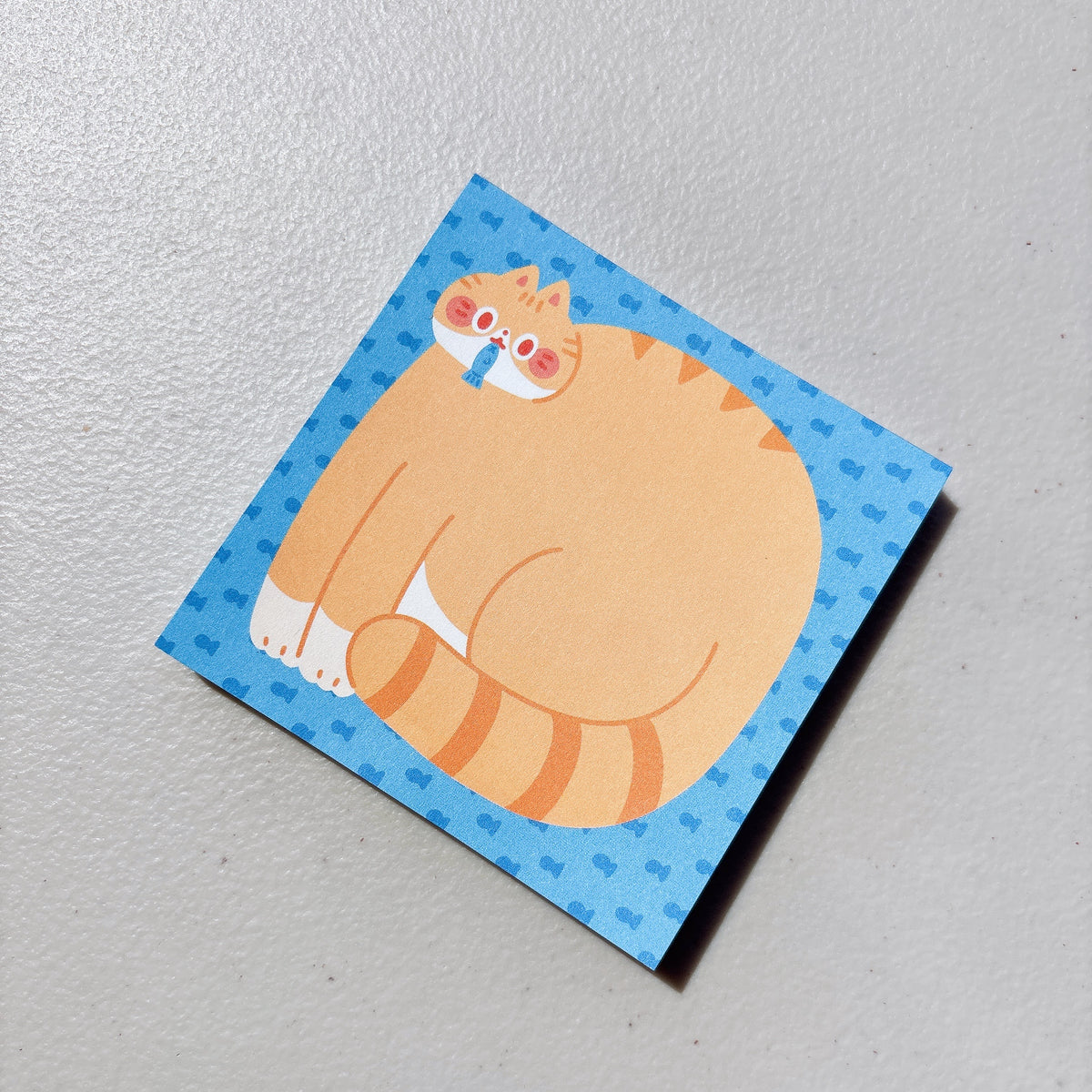 Cute Chonky Cat Memo Pads – StickyRiceCompany